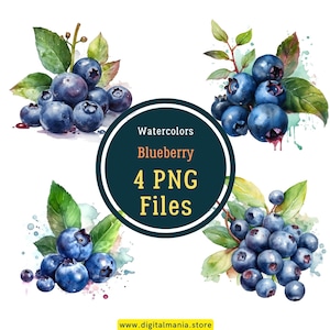 Blueberry Watercolor PNG - Transparent Background - Blueberry Fruits ...