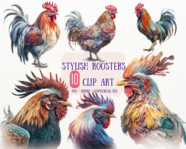 Stylish Roosters Clipart 10 PNG Rooster Illustration - Etsy