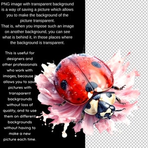 Watercolor Ladybugs PNG Transparent Background Red Ladybug Clipart PNG ...
