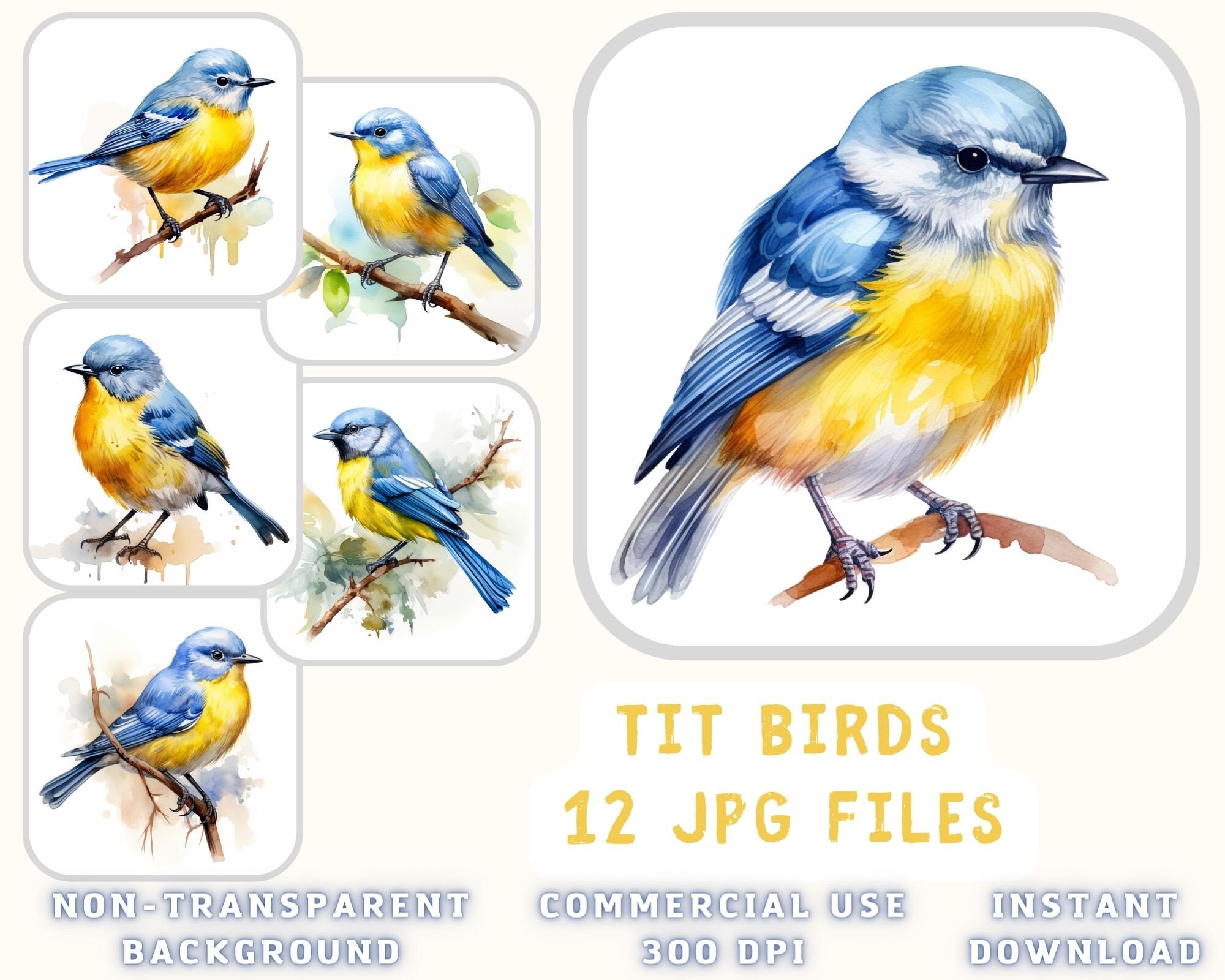 Bluetit Clipart People