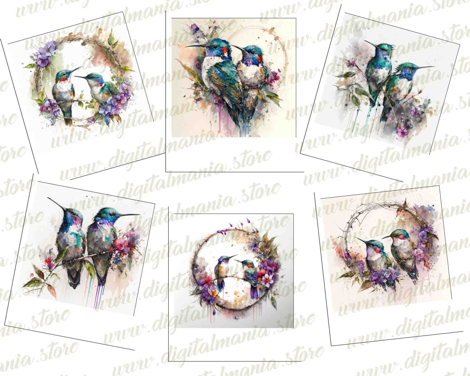 Hummingbird Floral Design Bundle 33 JPG Files Hummingbird Illustration ...