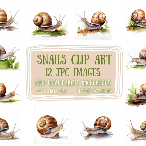 Snails Clip Art - Etsy