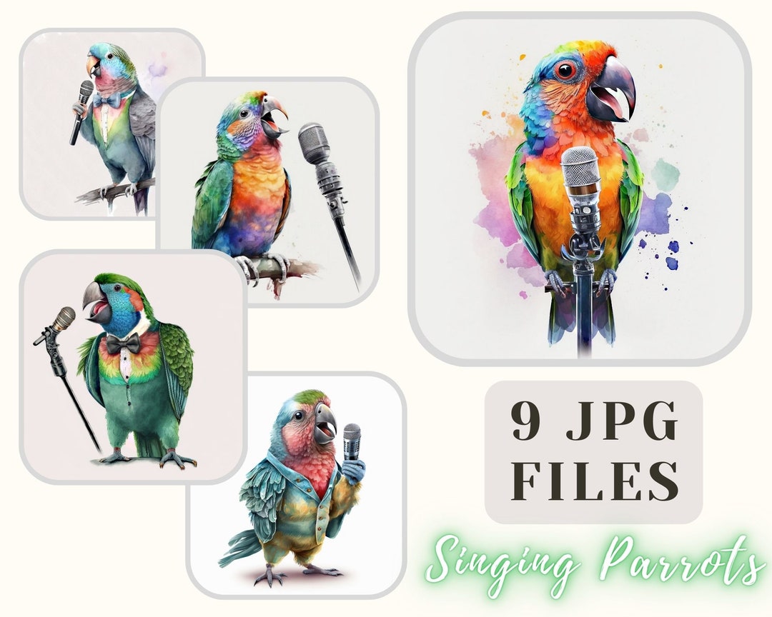 Funny Singing Parrots Collection 9 JPG Files Parrots Illustration Scrapbooking Crafting Bundle ...