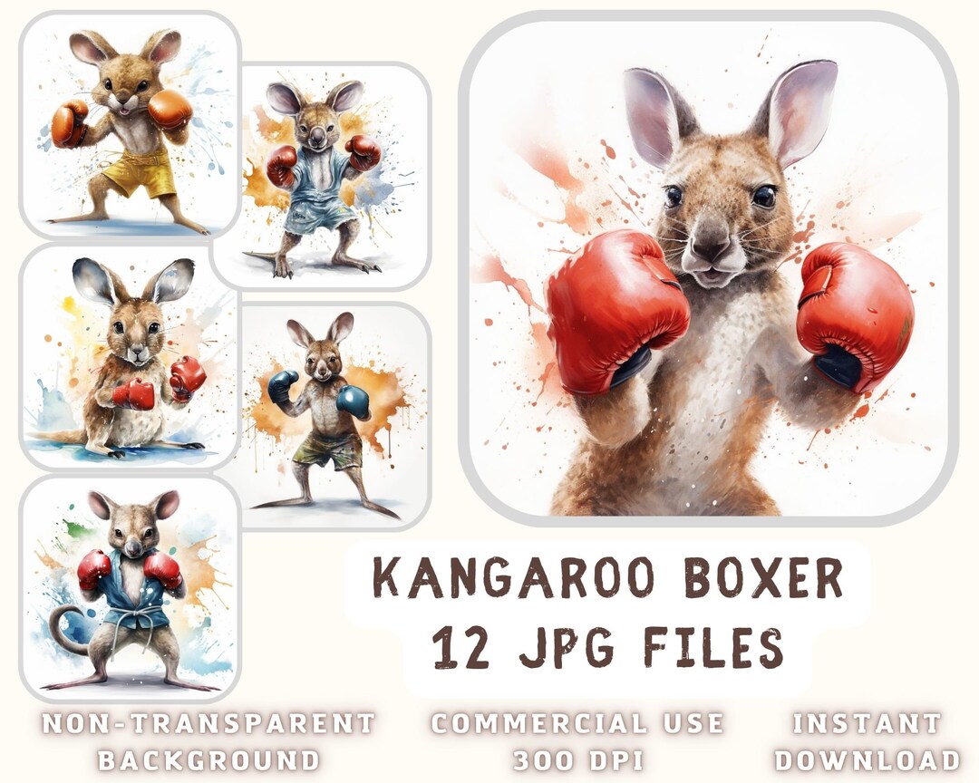 Kangaroo Boxer Watercolor Clip Art 12 JPG Kangaroo Boxer Illustrations ...