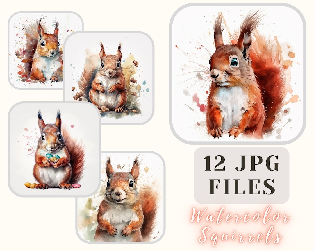 Squirrels Watercolor Collection 12 JPG Funny Squirrel Illustration ...