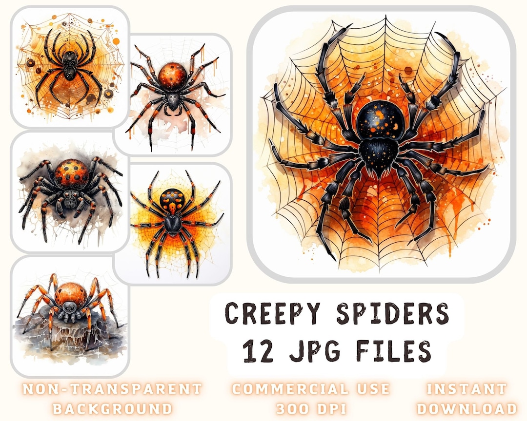 Spider With Web Watercolor Clipart 12 JPG - Halloween Clip Art Skulls ...