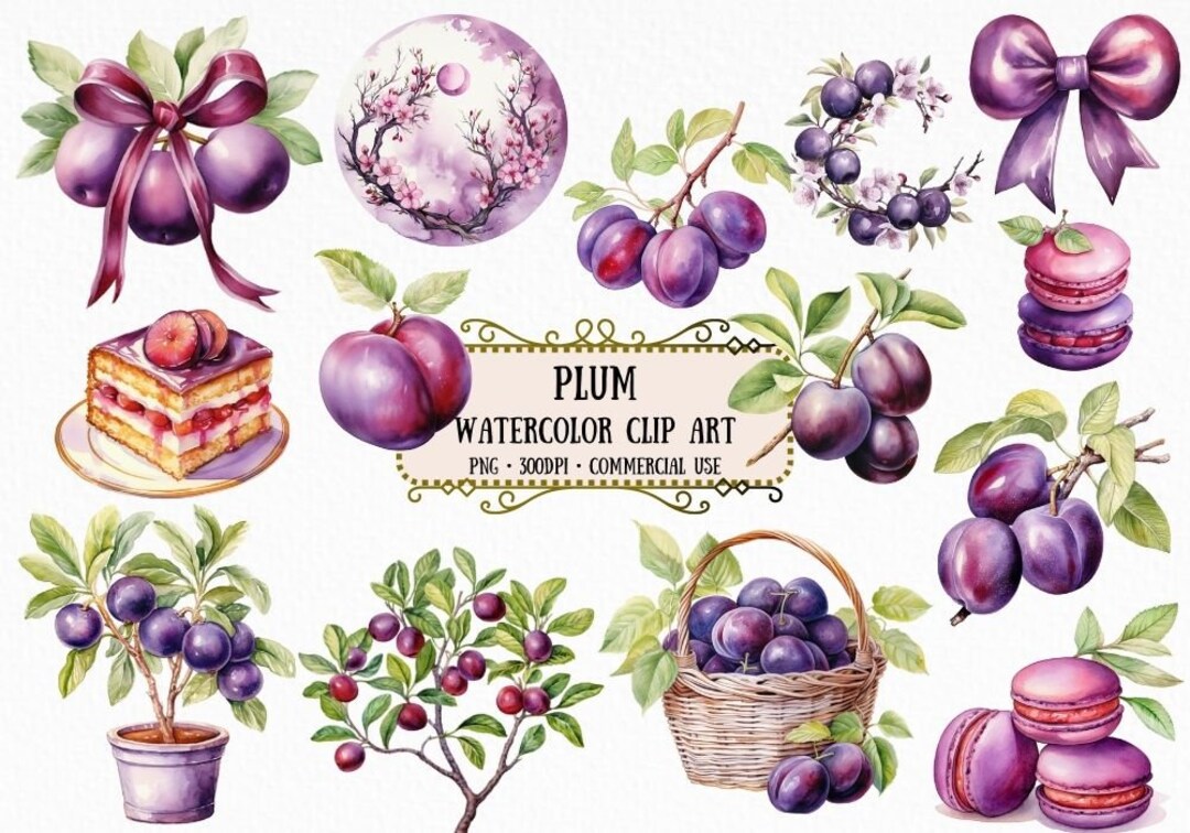 Watercolor Plum Clipart - 17 PNG Watercolor Fruit Illustrations - Plums ...