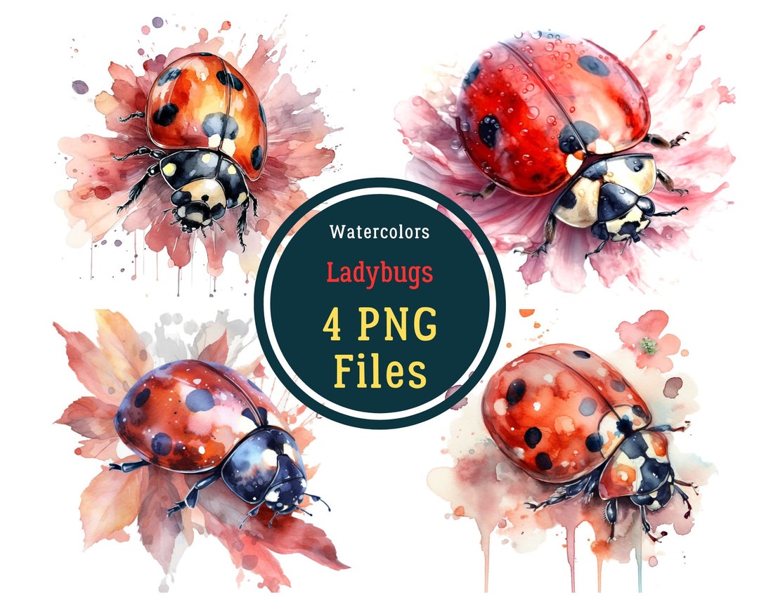 Watercolor Ladybugs PNG Transparent Background Red Ladybug Clipart PNG ...