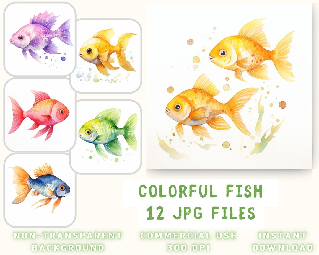 Colorful Fish Watercolor Clipart 12 JPG Fish Clip Art Fish - Etsy