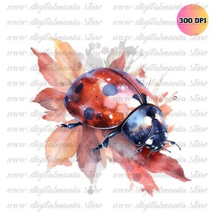 Watercolor Ladybugs PNG Transparent Background Red Ladybug Clipart PNG ...