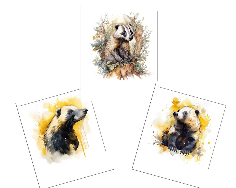 Watercolor Bald Badger Clipart 15 JPG Files Bald Badger - Etsy