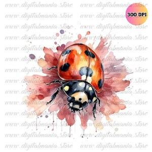 Watercolor Ladybugs PNG Transparent Background Red Ladybug Clipart PNG ...