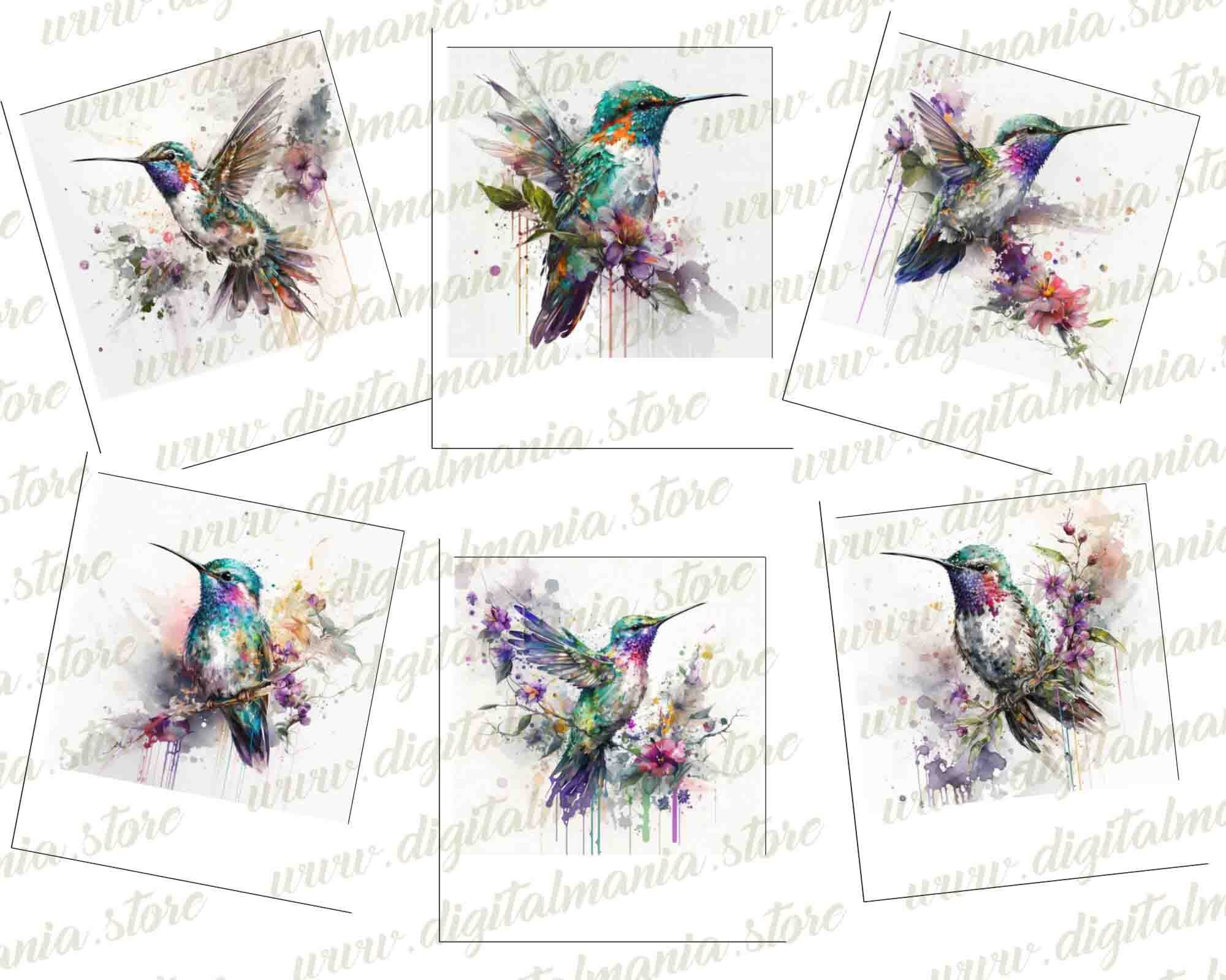 Hummingbird Floral Design Bundle 33 JPG Files Hummingbird Illustration ...