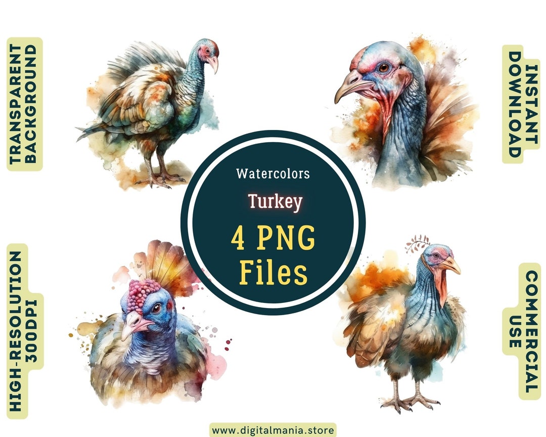 Watercolor Turkey PNG - Transparent Background - Turkey Clip Art PNG ...