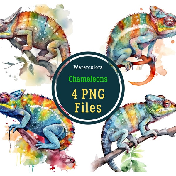 Colorful Chameleon - Etsy