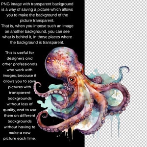 Watercolor Octopus PNG Transparent Background Sea Octopuses Clipart PNG ...