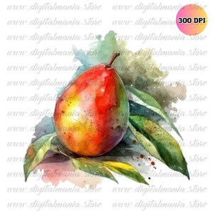 Watercolor Mango Transparent Fruit Clip Art Mango Clipart - Etsy