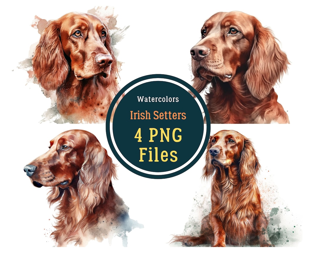Watercolor Irish Setter Dog PNG - Transparent Background - Irish Setter ...