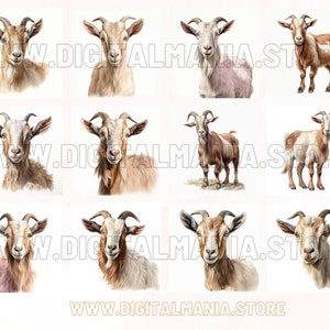 Realistic Goats Watercolor Clipart 12 JPG - Cute Goat Illustrations Mix ...