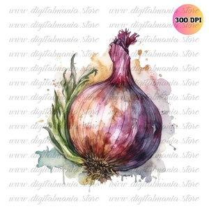 Onion Watercolor PNG - Transparent Background - Onion Clipart PNG ...