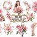 Watercolor Pink Lily Clip Art 25 PNG Watercolor Flower Images Lilies ...