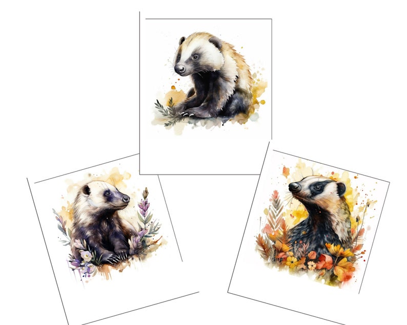 Watercolor Bald Badger Clipart 15 JPG Files Bald Badger - Etsy