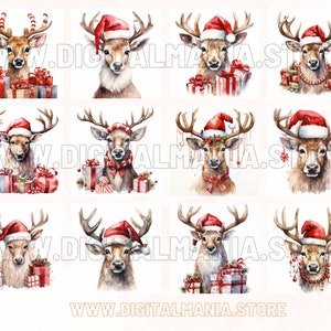 Christmas Reindeer Watercolor Clip Art 12 JPG Christmas Clipart Deers ...