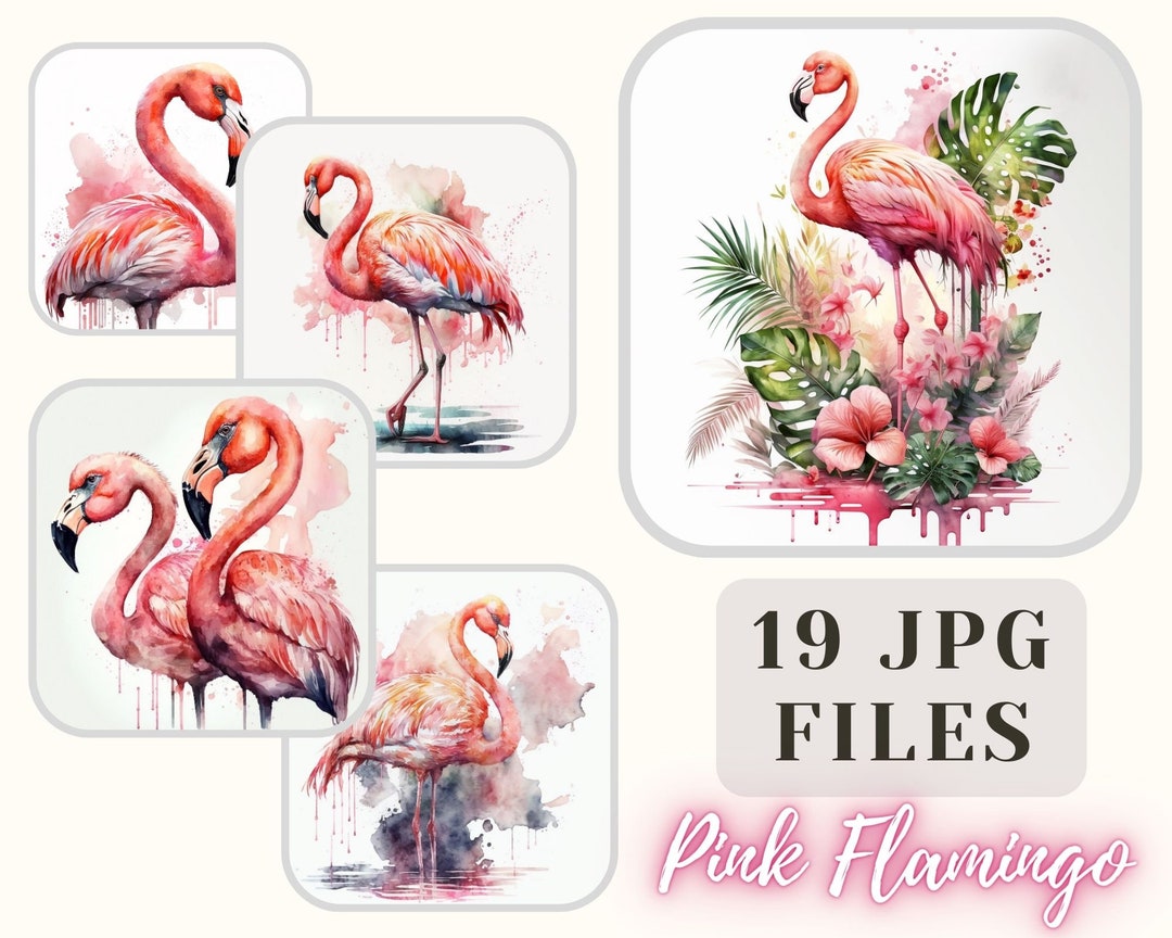 Pink Flamingo Collection 19 JPG Files Flamingo Illustration Flamingo ...