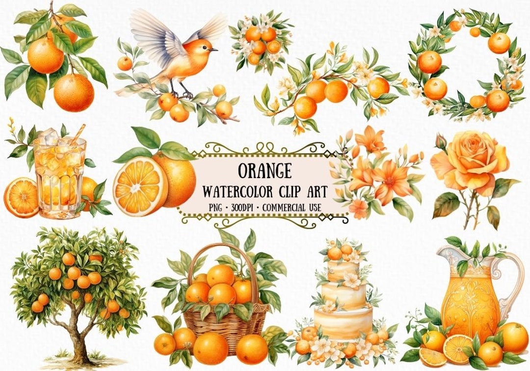 Watercolor Orange Clip Art - 14 PNG Watercolor Fruits Images Orange Art ...