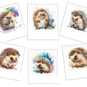 Funny Hedgehog Collection 18 JPG File Happy Hedgehog Illustration ...