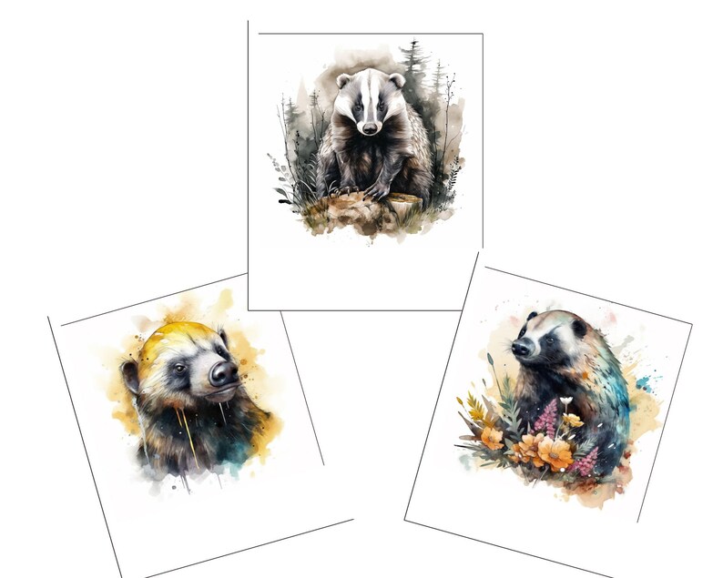 Watercolor Bald Badger Clipart 15 JPG Files Bald Badger - Etsy