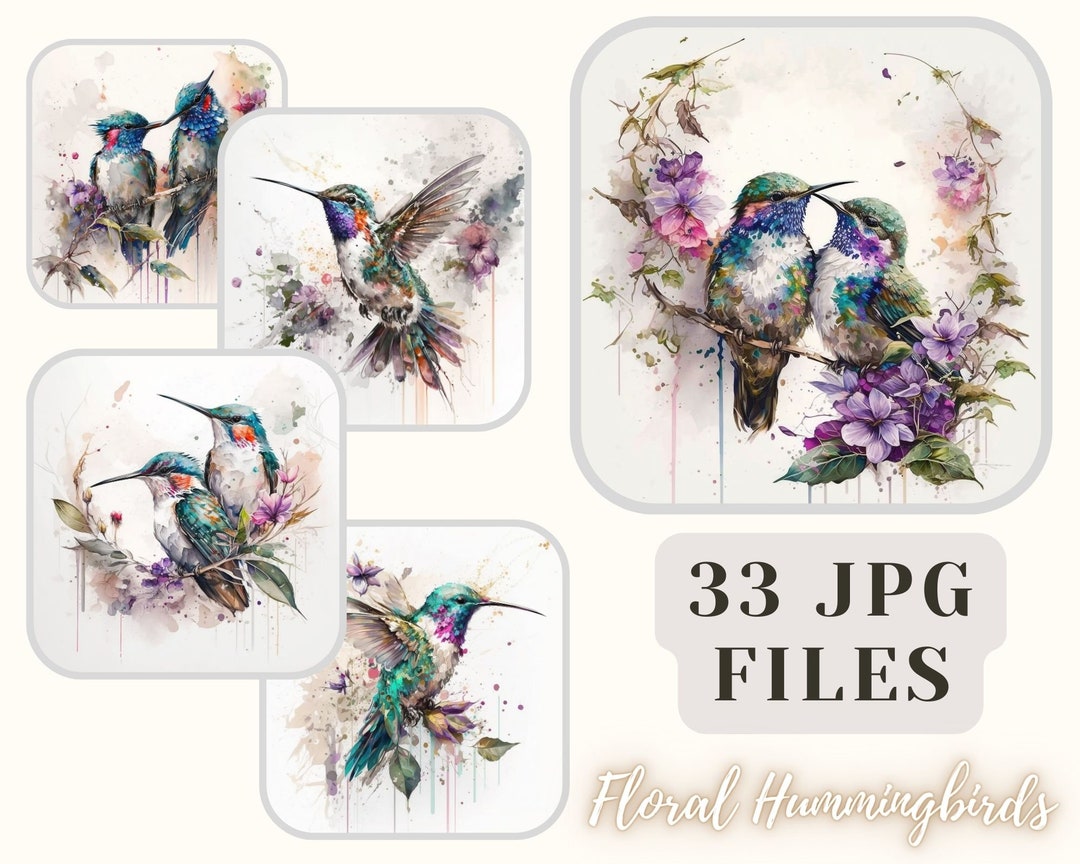 Hummingbird Floral Design Bundle 33 JPG Files Hummingbird Illustration ...