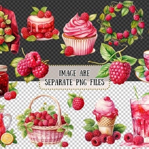 Watercolor Raspberry Clip Art - 17 PNG Watercolor Fruit Illustrations ...