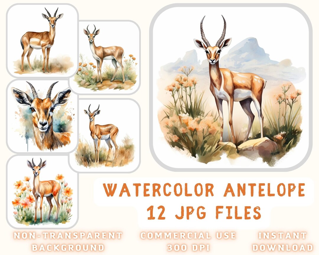 Antelope Watercolor Clipart 12 JPG - Antelope Illustrations Gazelle Art ...