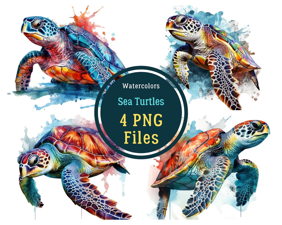 Watercolor Sea Turtles PNG - Transparent Background - Sea Turtle ...