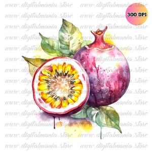 Watercolor Passion Fruit Transparent Fruit Clip Art, Crafting Bundle ...