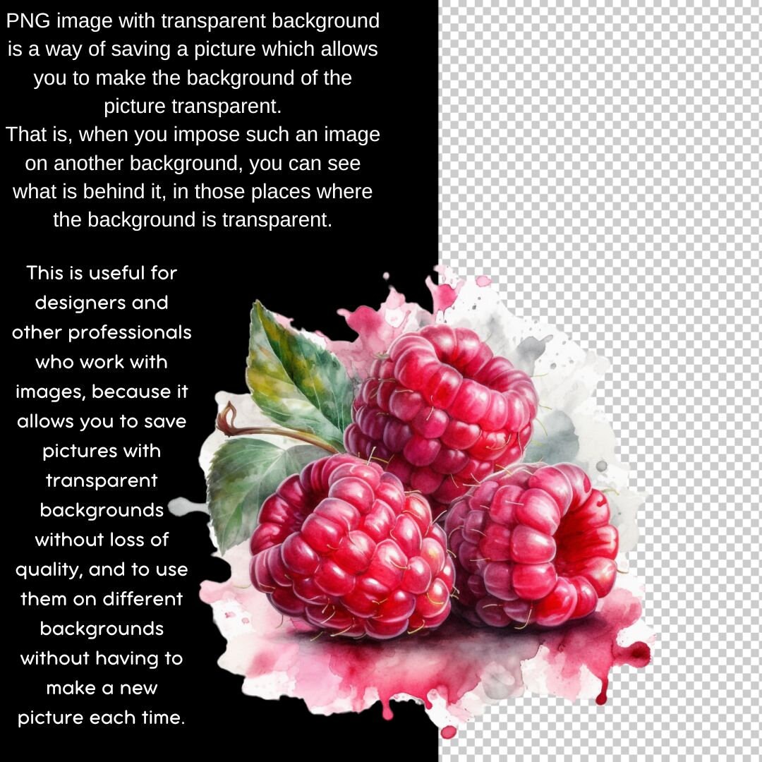 Raspberry Watercolor PNG Transparent Background Raspberry - Etsy
