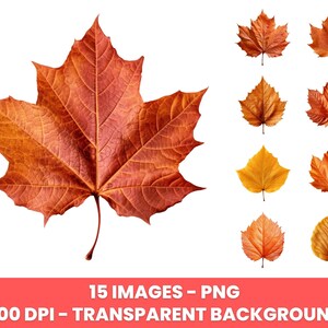 Autumn Leaf Clipart – Clip Art Commercial Use, PNG Images, Digital ...