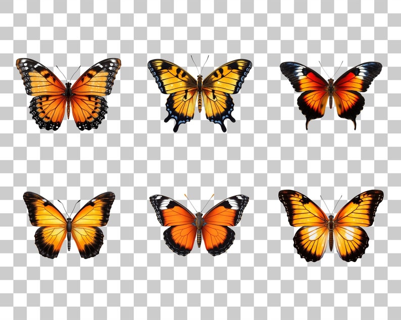 Colored Butterfly Clipart – Clip Art Commercial Use, PNG Images ...