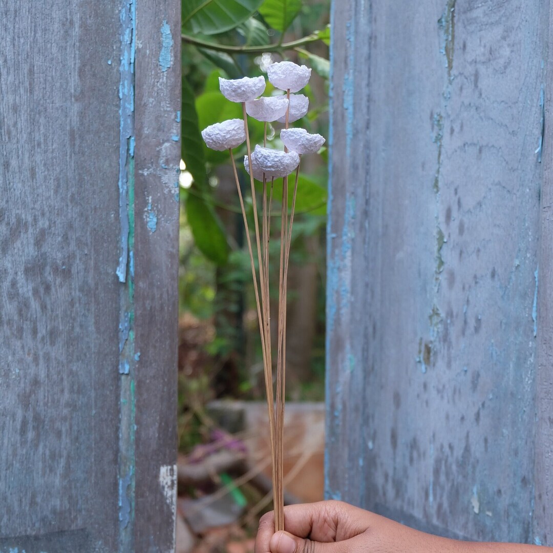 Long Stem Fairy Cup Paper Mache Flower, Cotton Mache Flower Arrangement ...
