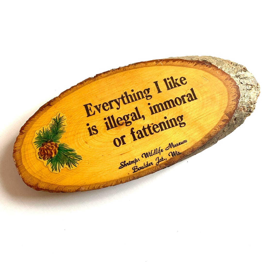 Everything I Like Silly Log Hanger - Etsy