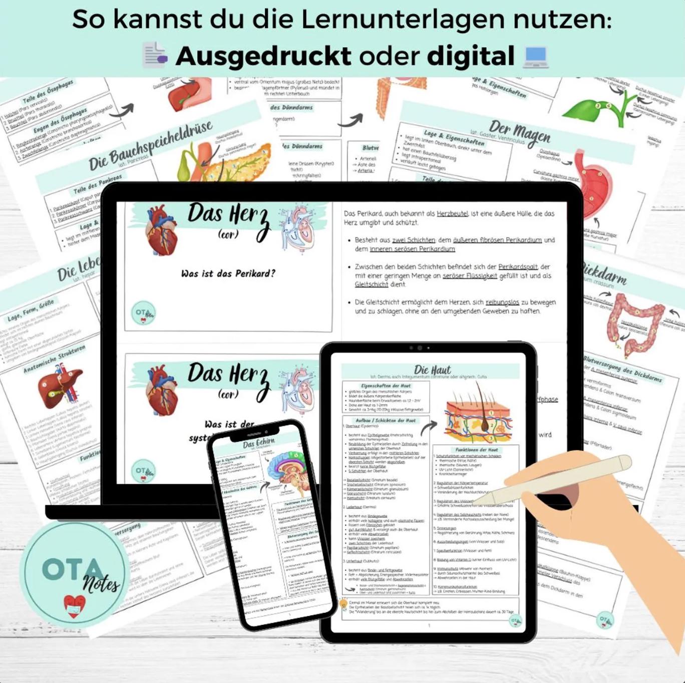 Vena Cava Compression Syndrome Study Notes & Flashcards Anatomy ...