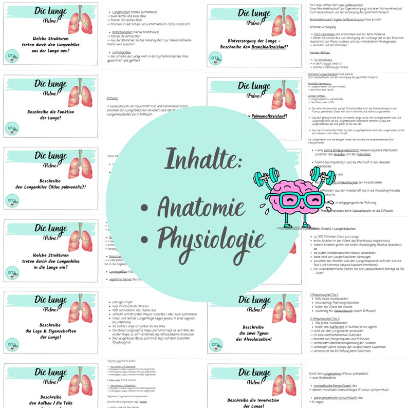 THE LUNGS Anatomy Study Sheets + Flashcards - Nursing OTA Training ...