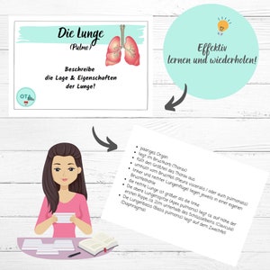 THE LUNGS Learning Notes Index Cards Nursing Anatomy Physiology ...