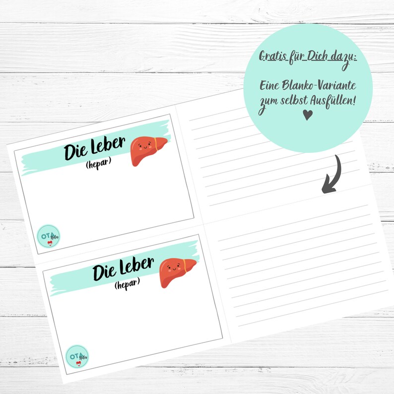 THE LIVER Study Sheet Flashcards Anatomy Physiology Medicine OTA Mfa ...