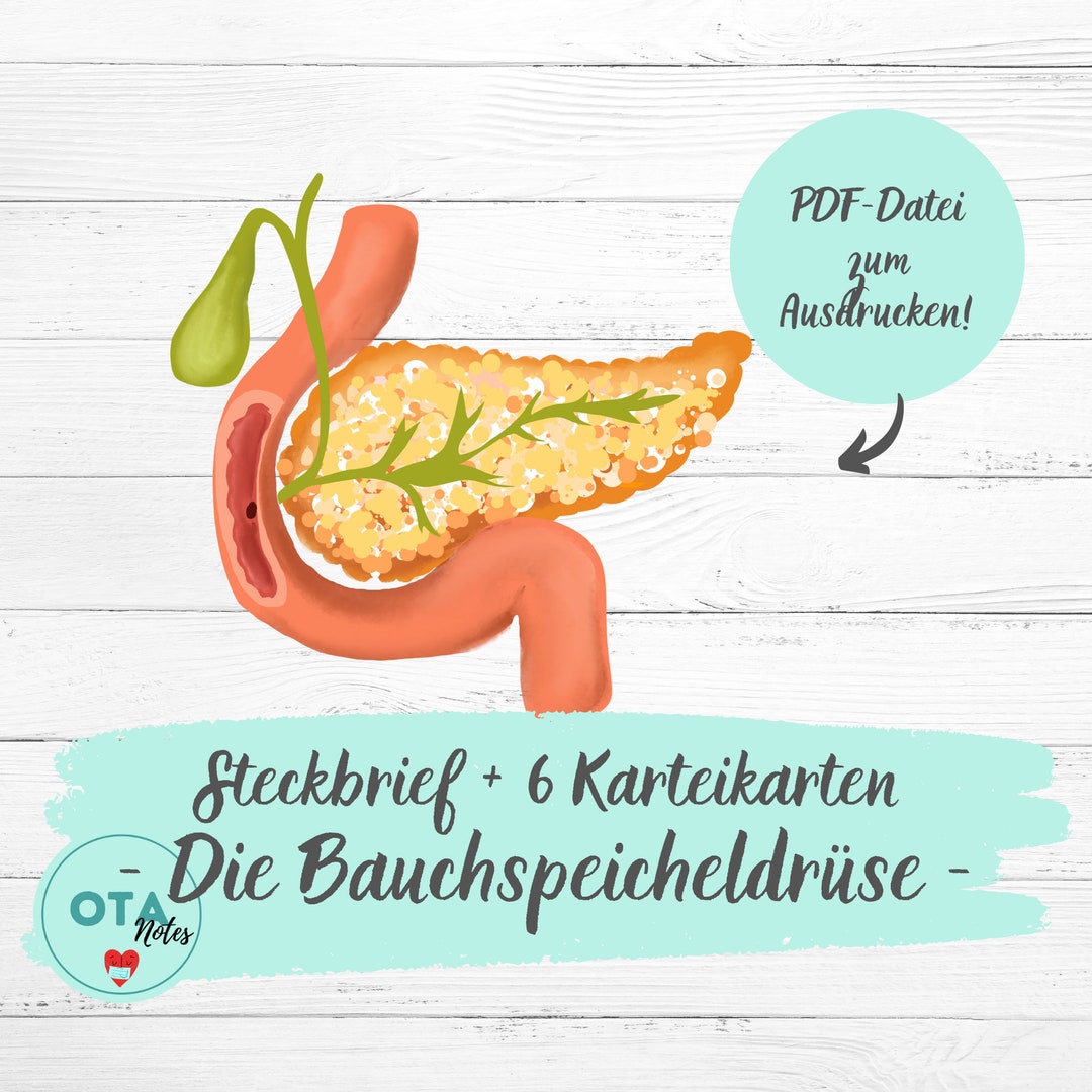 THE PANCREAS Learning Notes Index Cards Nursing Anatomy Physiology ...