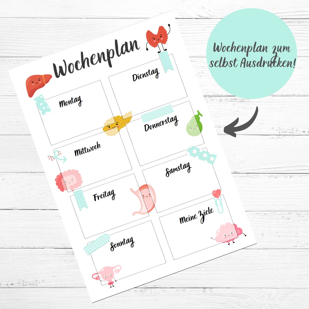 Weekly Plan Anatomy OTA OP Nursing Nursing Nurse Medicine Training ...