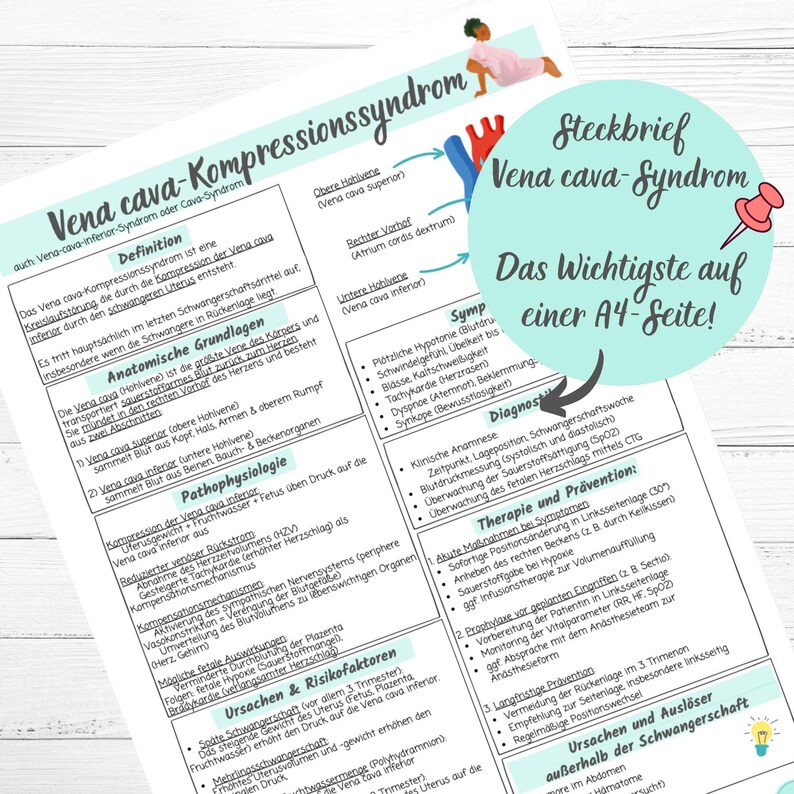 Vena Cava Compression Syndrome Study Notes & Flashcards Anatomy ...