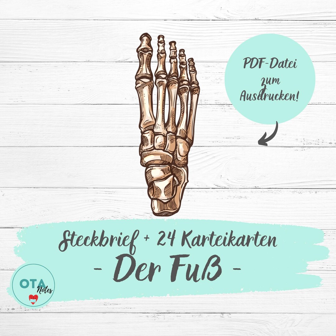 THE FOOT Anatomy Study Sheets + Flashcards - Ankle Joint Tarsal Bones ...