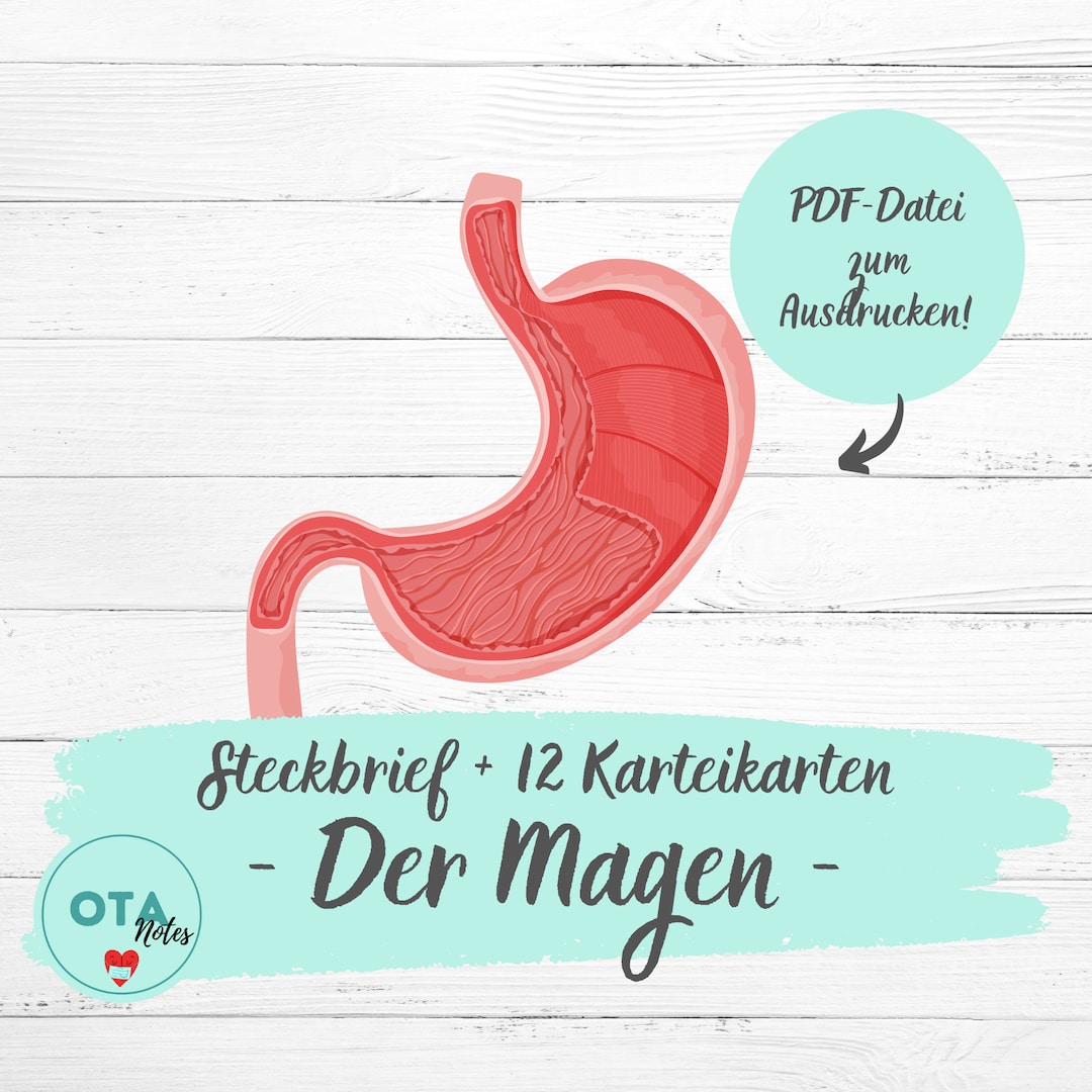 THE STOMACH Learning Sheets Index Cards Nursing Anatomy Physiology ...